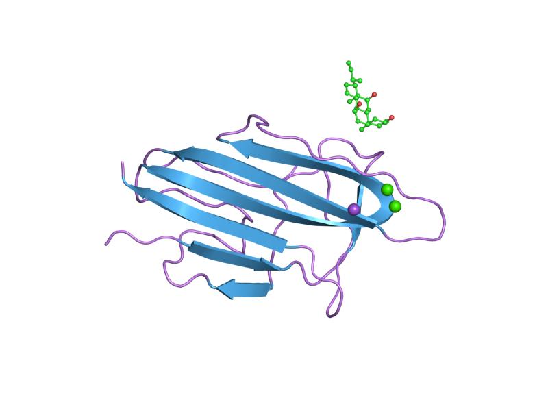BIOQUIMICA II at emaze Presentation
