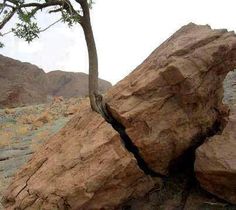 Weathering at emaze Presentation