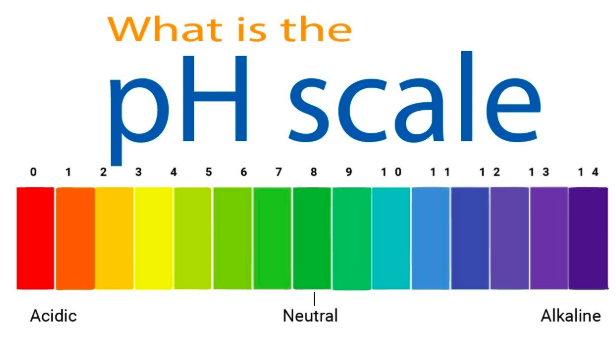 How the pH Scale is Like Logarithms on emaze