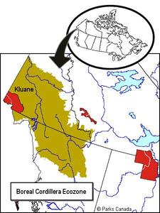 Presentation Name on emaze