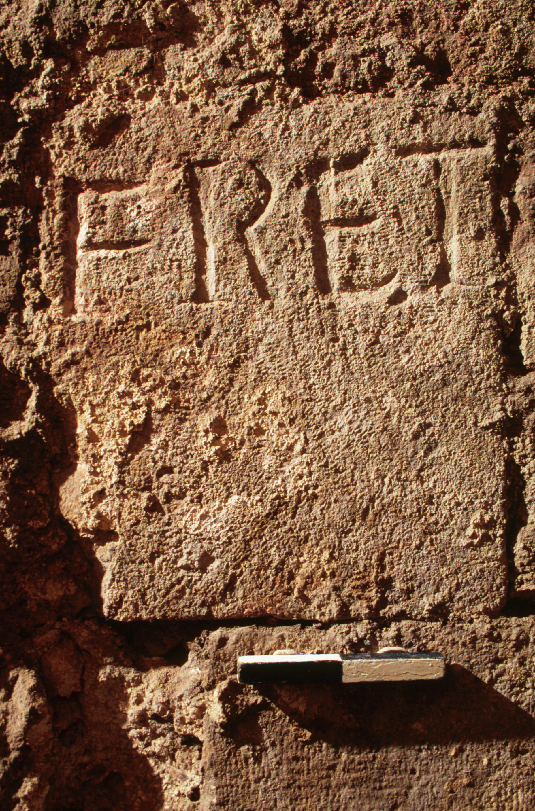 Presentation Name at emaze Presentation