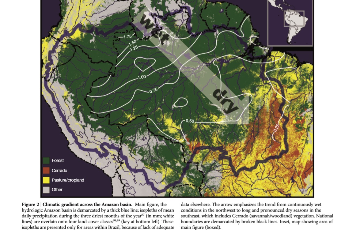 Hydroelectric power and the Amazon basin at emaze Presentation