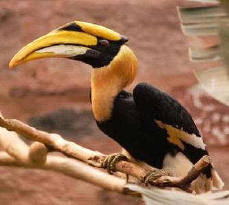 Taste Of Kerala on emaze