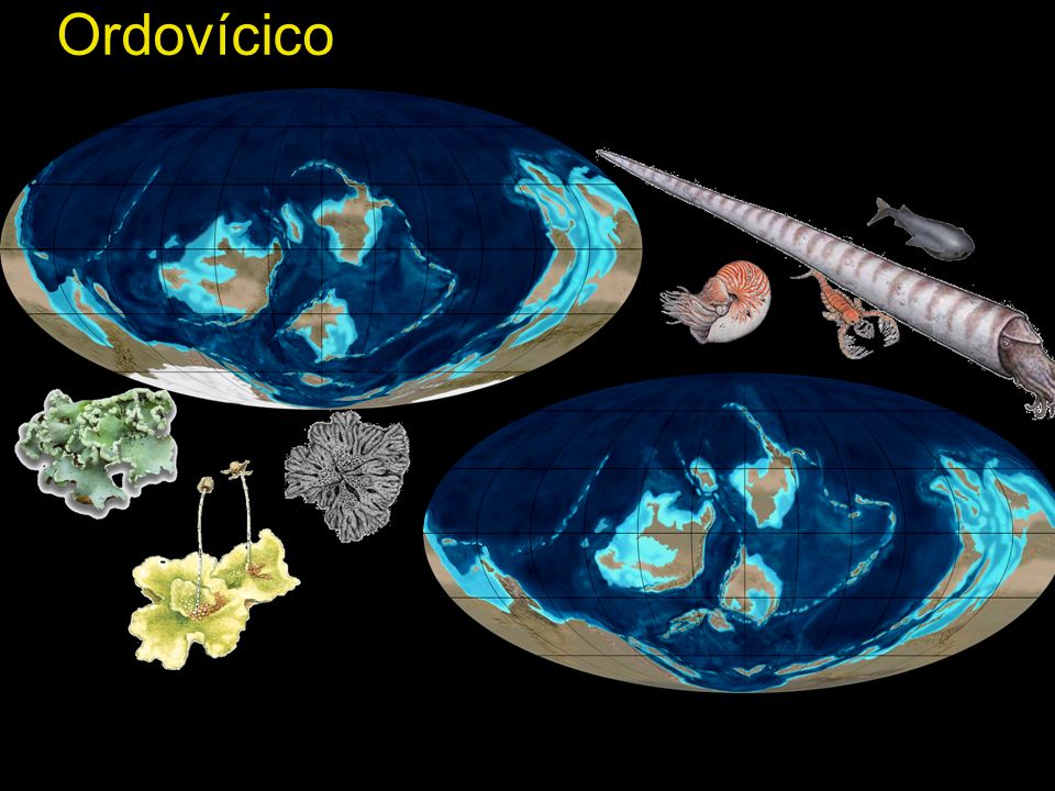 ordovícico at emaze Presentation
