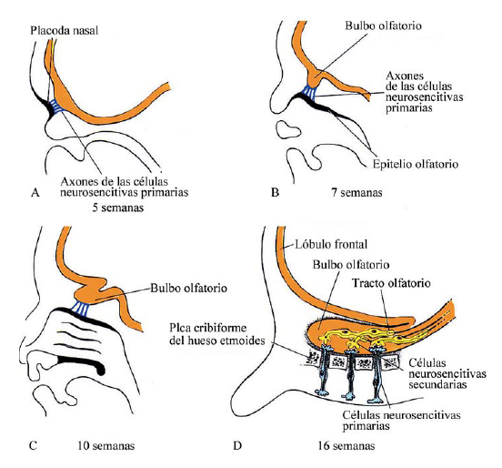 Presentation Name on emaze