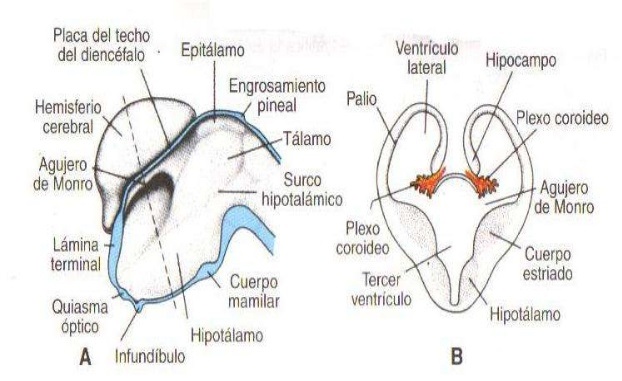 Presentation Name on emaze