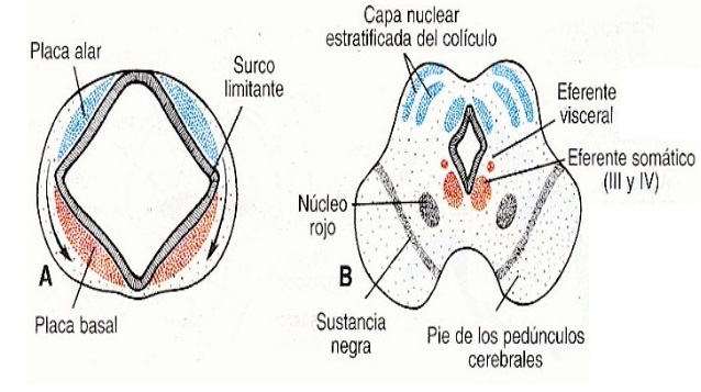 Presentation Name on emaze