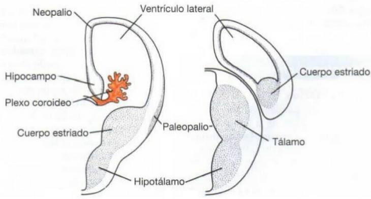 Presentation Name on emaze