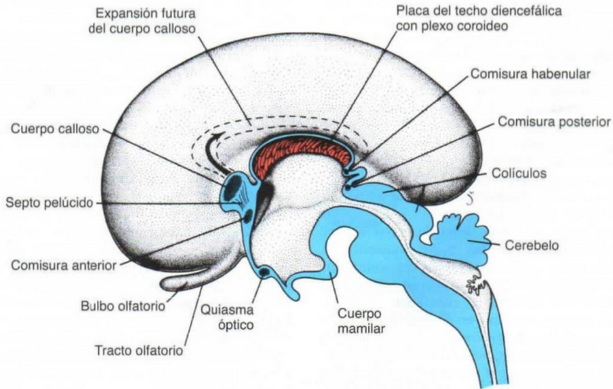 Presentation Name on emaze
