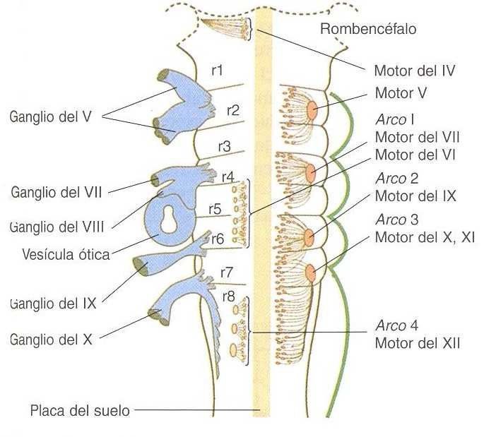 Presentation Name on emaze