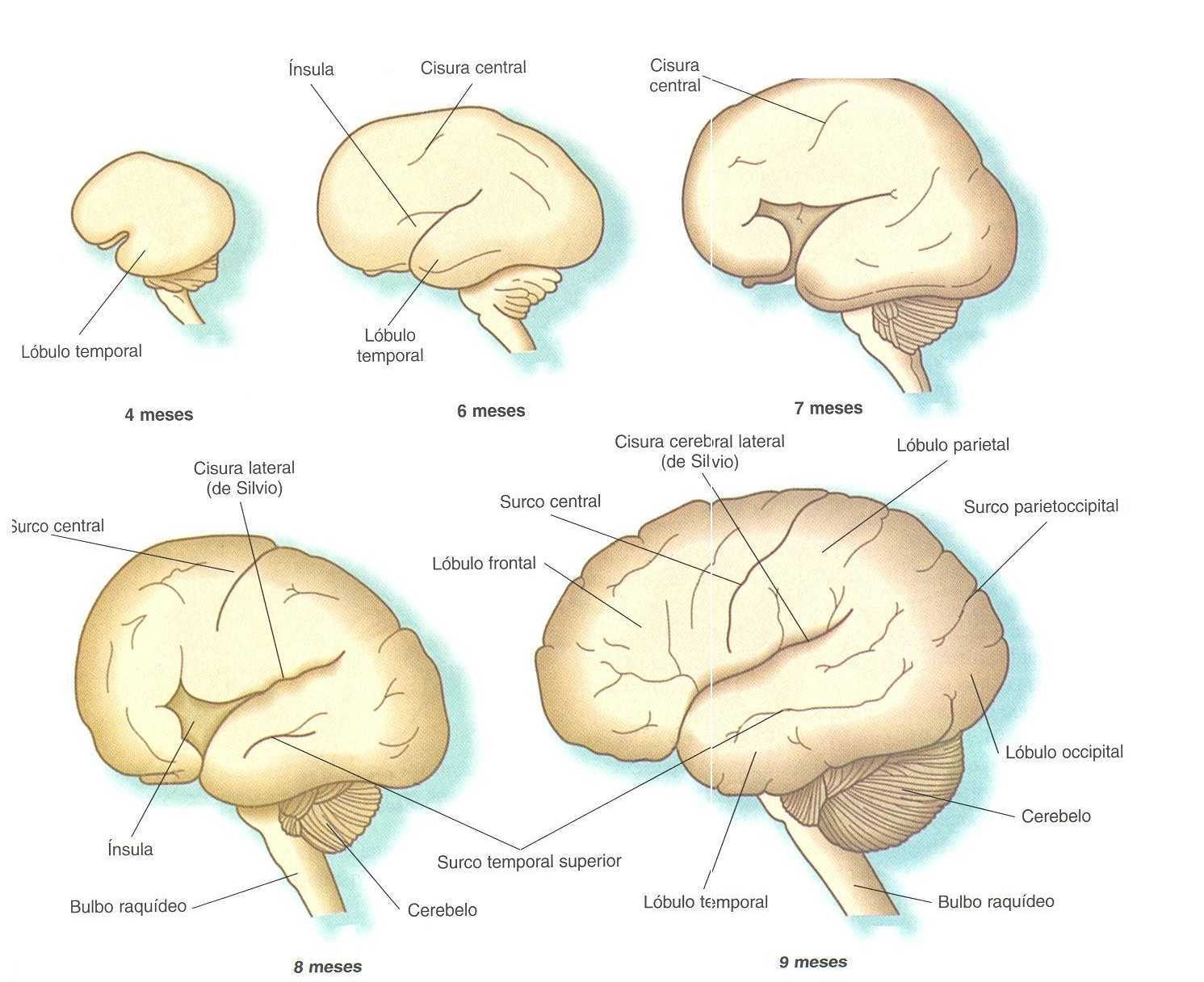 Presentation Name on emaze