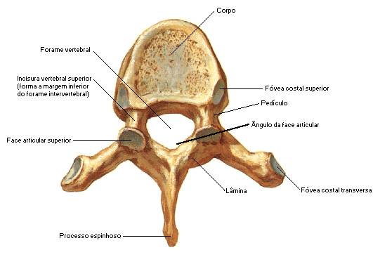 copy1 at emaze Presentation