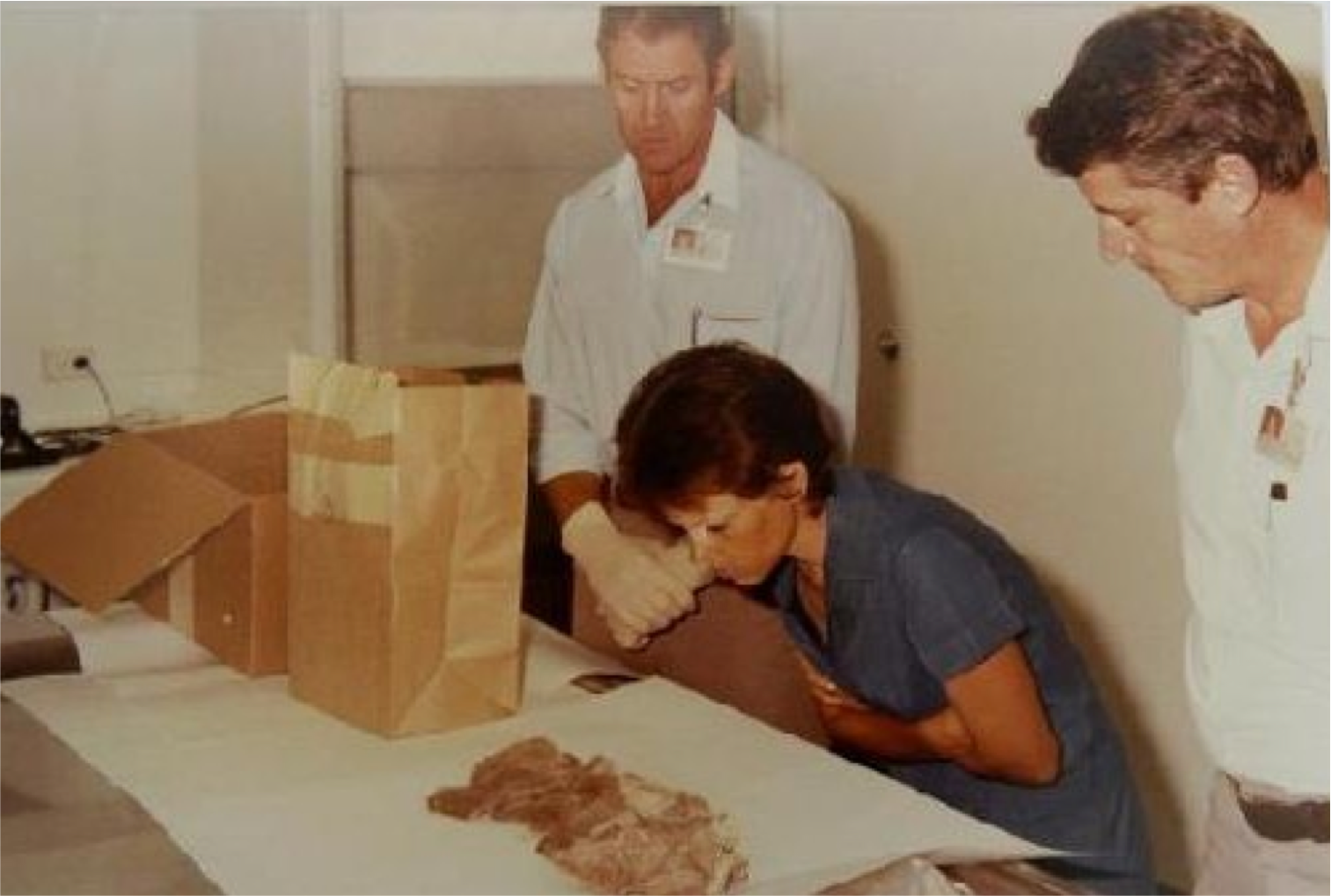 Chamberlain at emaze Presentation