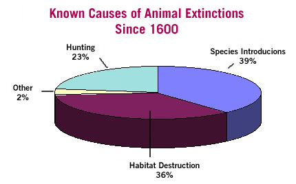Effects of Overhunting on emaze