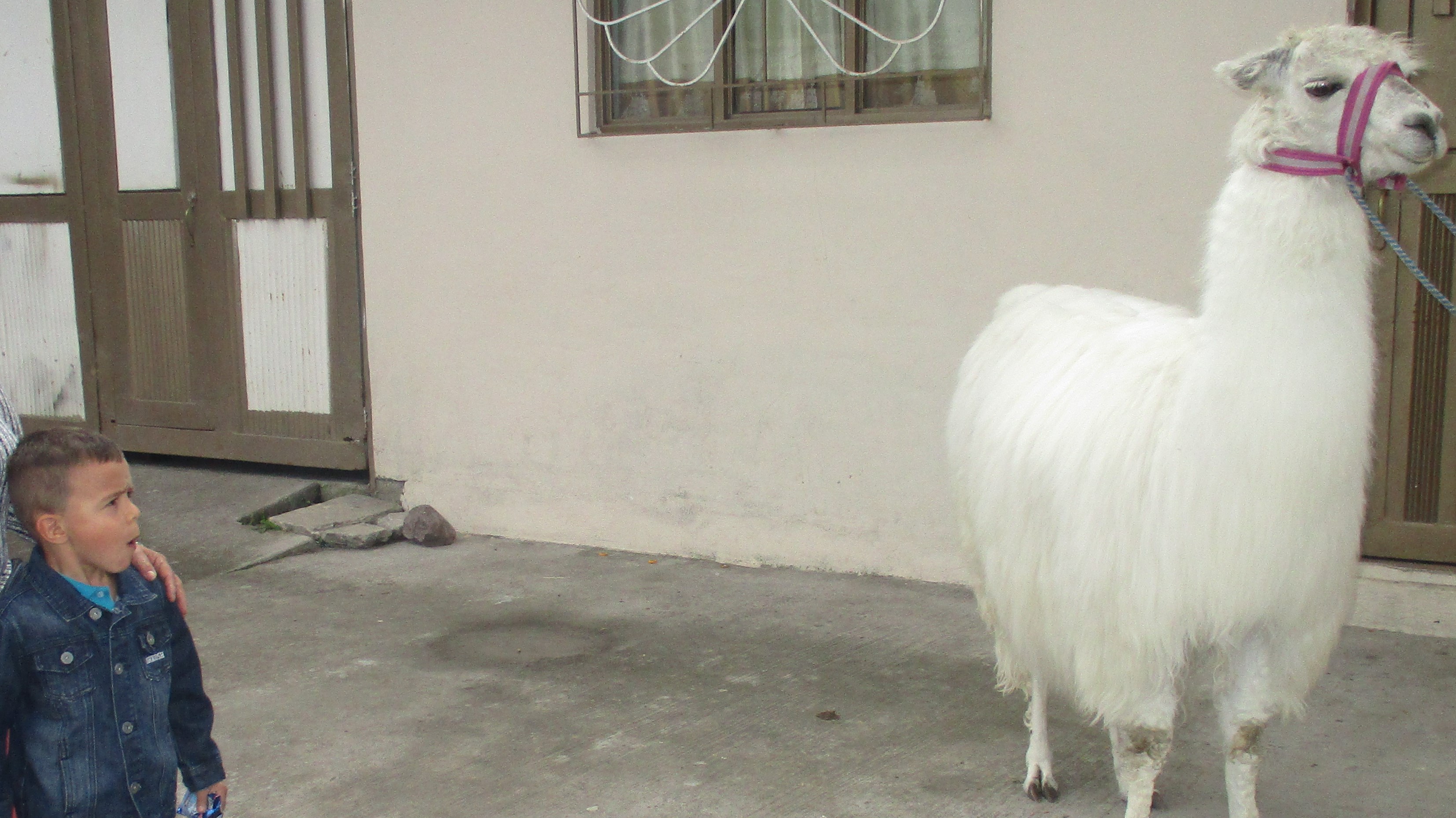 COMUNICACION NO VERBAL on emaze