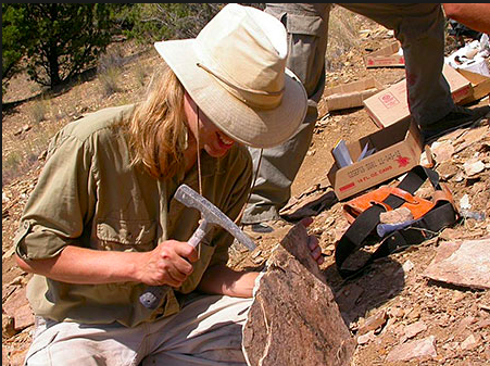 paleontologist at emaze Presentation