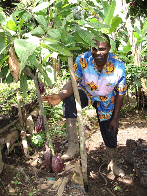 Africa Tree Planting on emaze