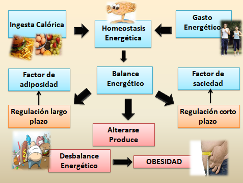 BALANCE ENERGETICO at emaze Presentation