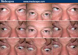 Anatomy EC at emaze Presentation