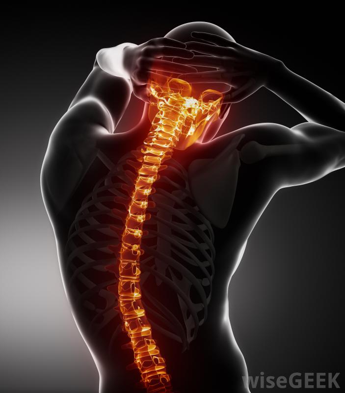 Body System at emaze Presentation