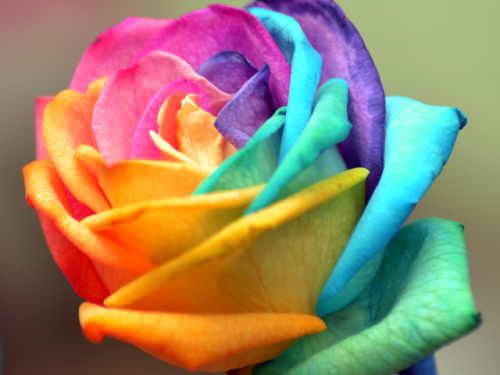 TEORIA DEL COLOR on emaze