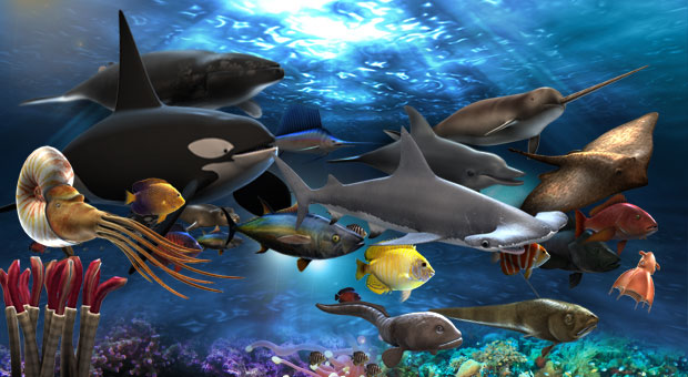 Earth Science on emaze