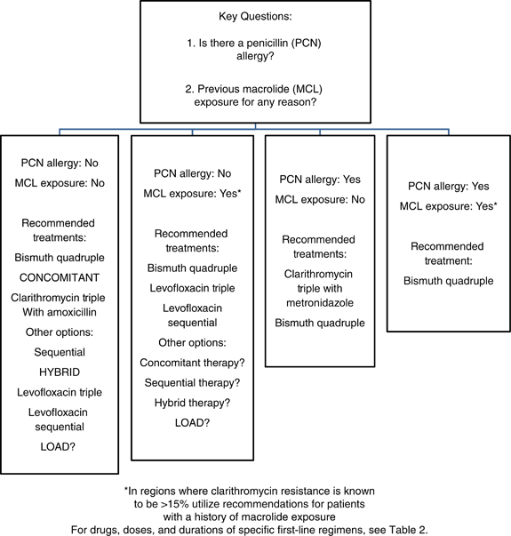 Helicobater pylori Screening on emaze