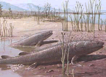 Biologia-eras geologicas on emaze