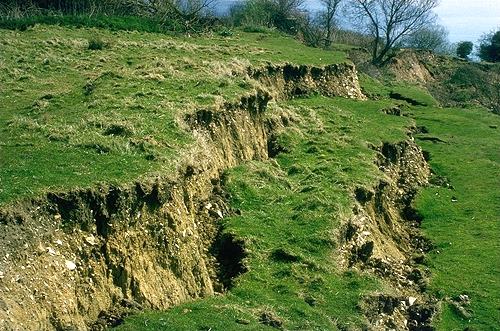 shaeniciataylor on emaze