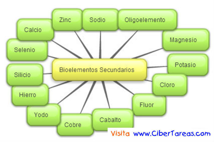 Bioelementos on emaze