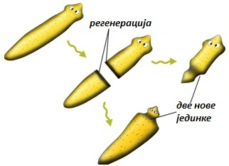 Untitled at emaze Presentation