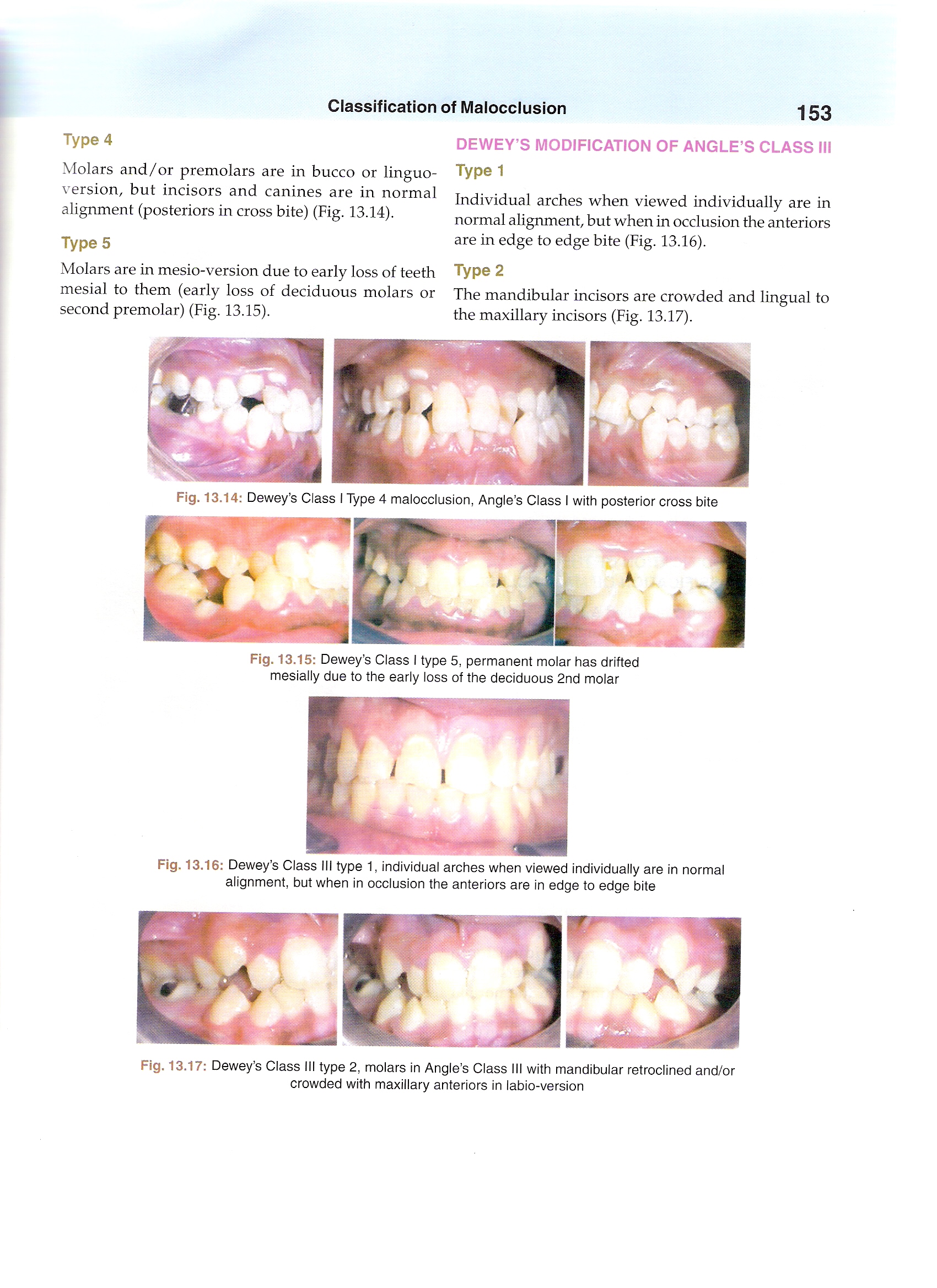 Presentation Name on emaze