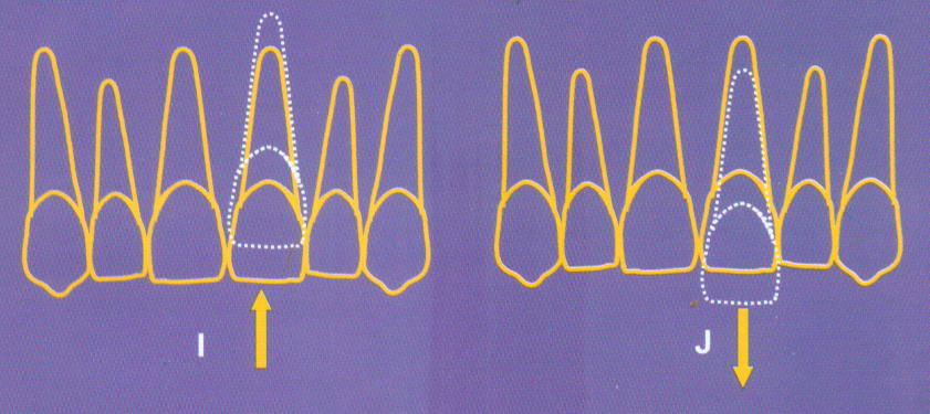 Presentation Name on emaze