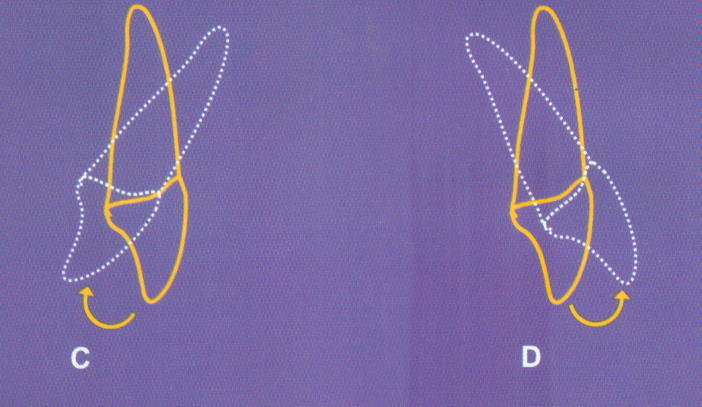 Presentation Name on emaze