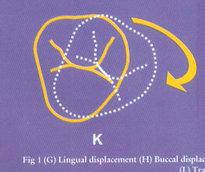 Presentation Name on emaze