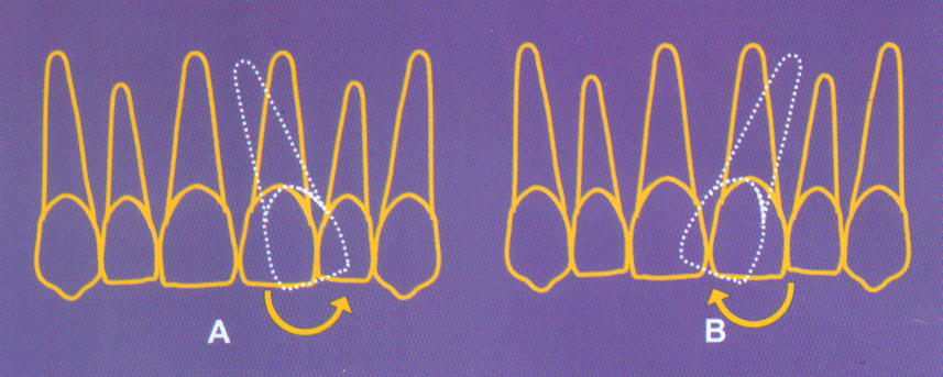 Presentation Name on emaze