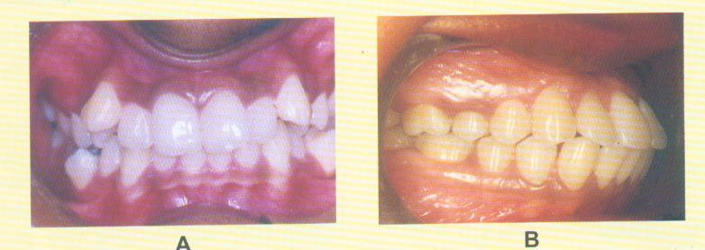 Presentation Name on emaze