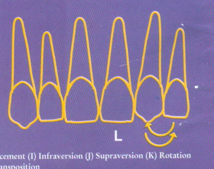 Presentation Name on emaze