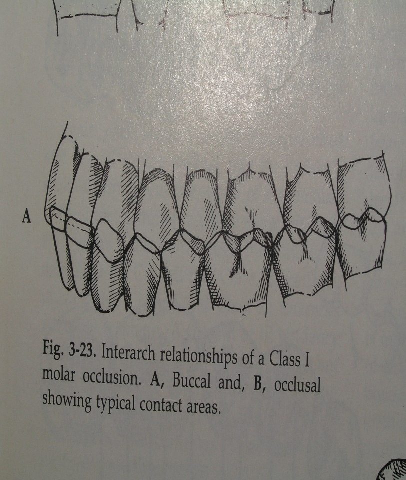 Presentation Name on emaze