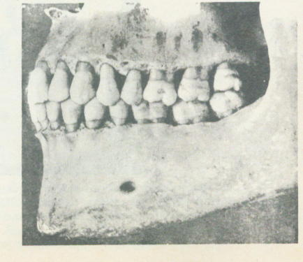 Presentation Name on emaze