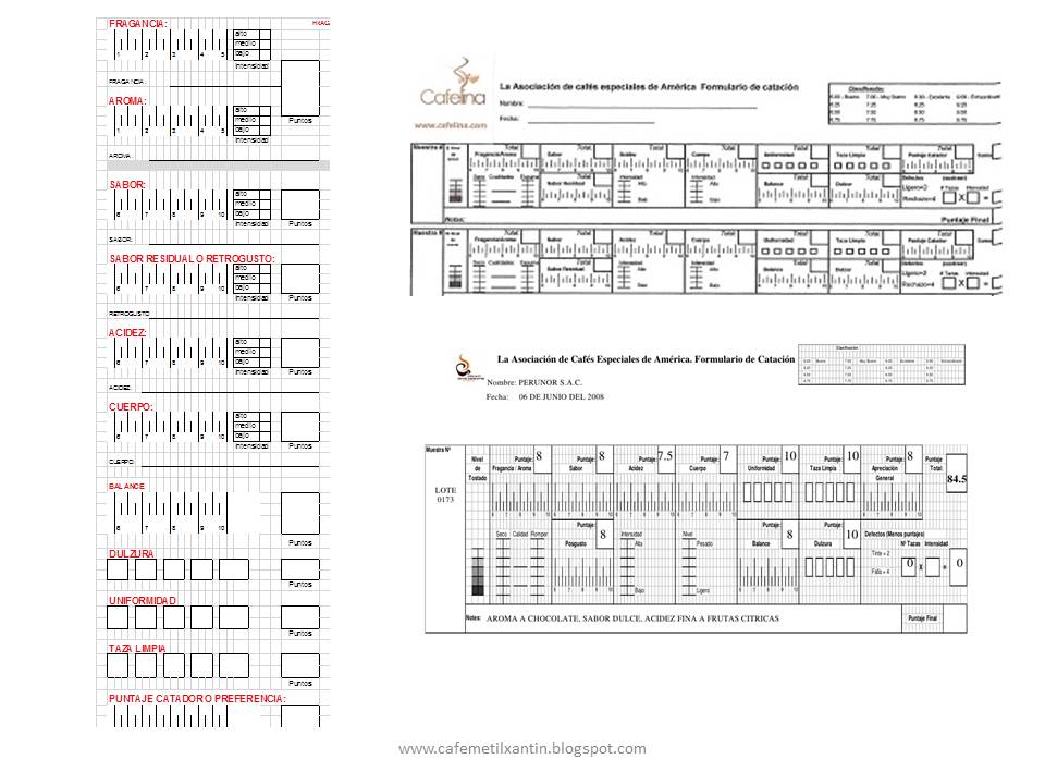 Guía para el uso del formulario SCAA catación de café arábica at emaze ...