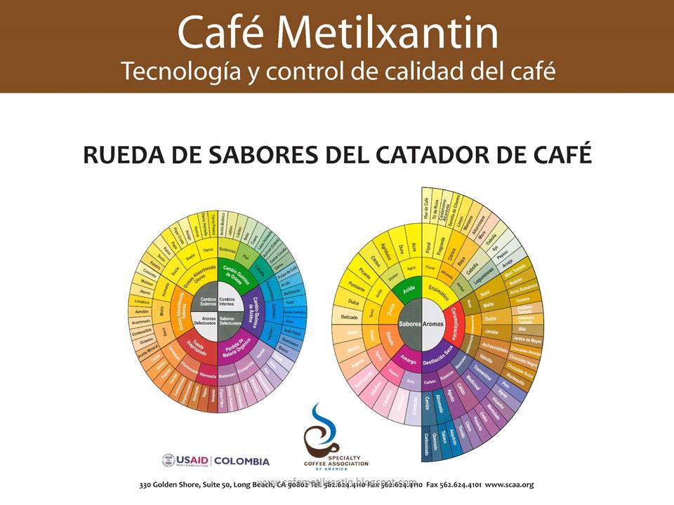 Guía para el uso del formulario SCAA catación de café arábica at emaze ...
