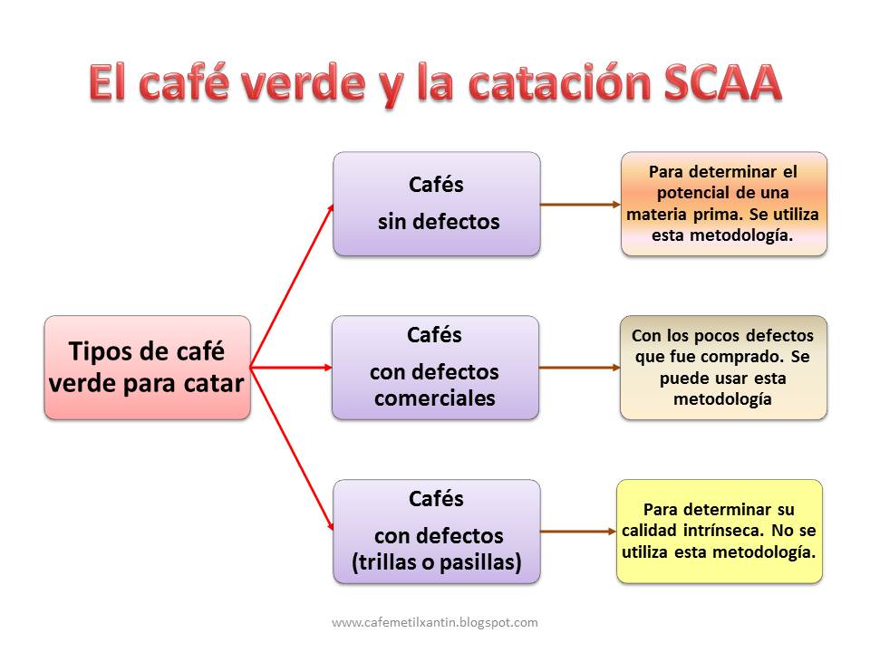 Guía para el uso del formulario SCAA catación de café arábica at emaze ...