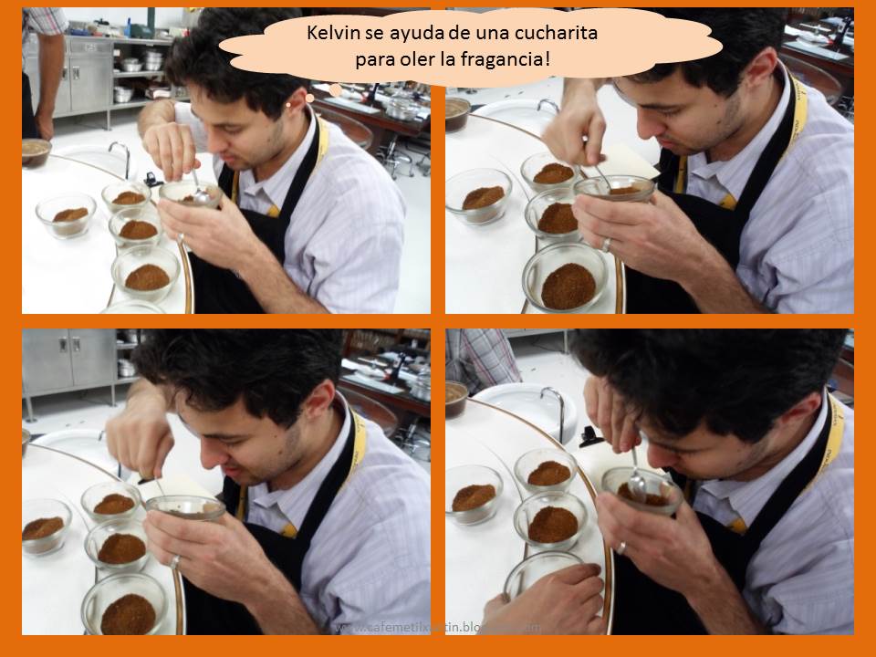 Guía para el uso del formulario SCAA catación de café arábica on emaze