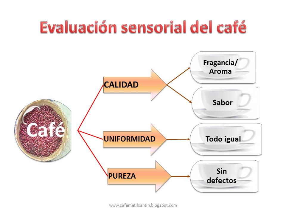 Guía para el uso del formulario SCAA catación de café arábica on emaze