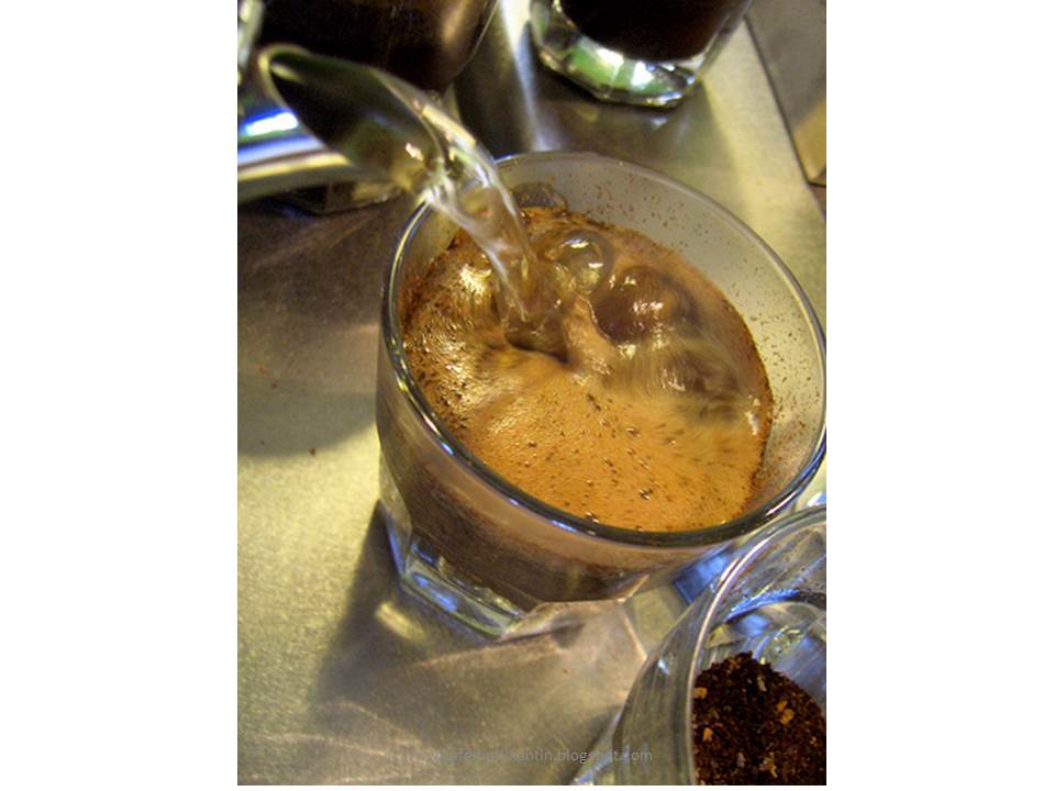 Guía para el uso del formulario SCAA catación de café arábica on emaze