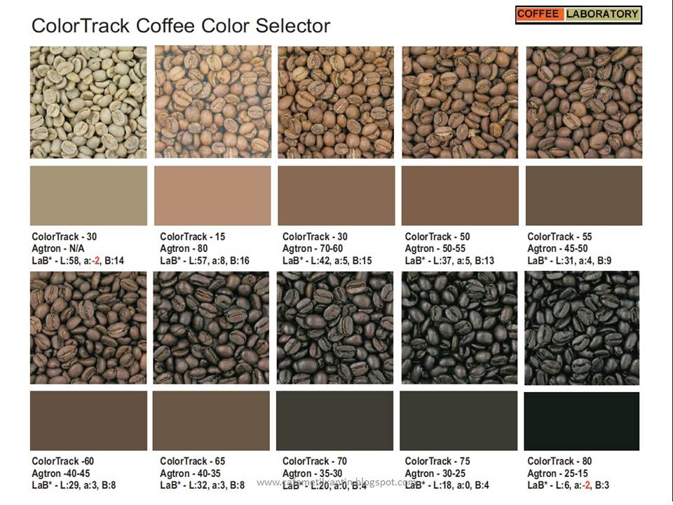 Guía para el uso del formulario SCAA catación de café arábica at emaze ...