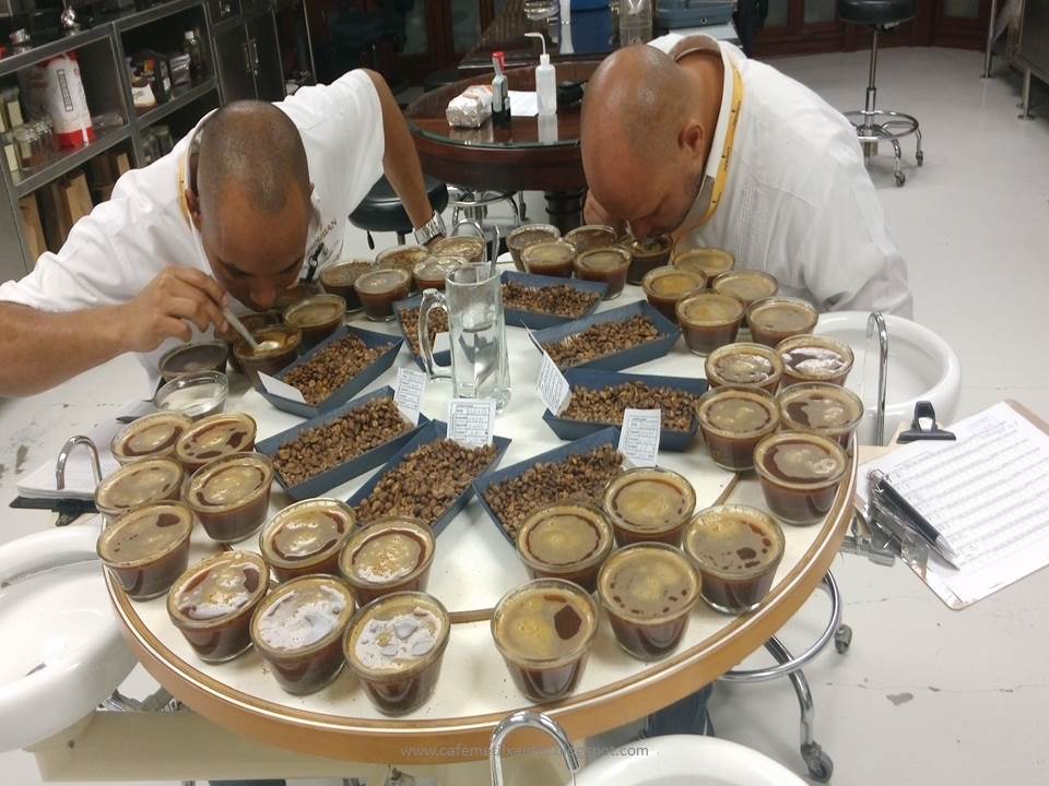 Guía para el uso del formulario SCAA catación de café arábica on emaze