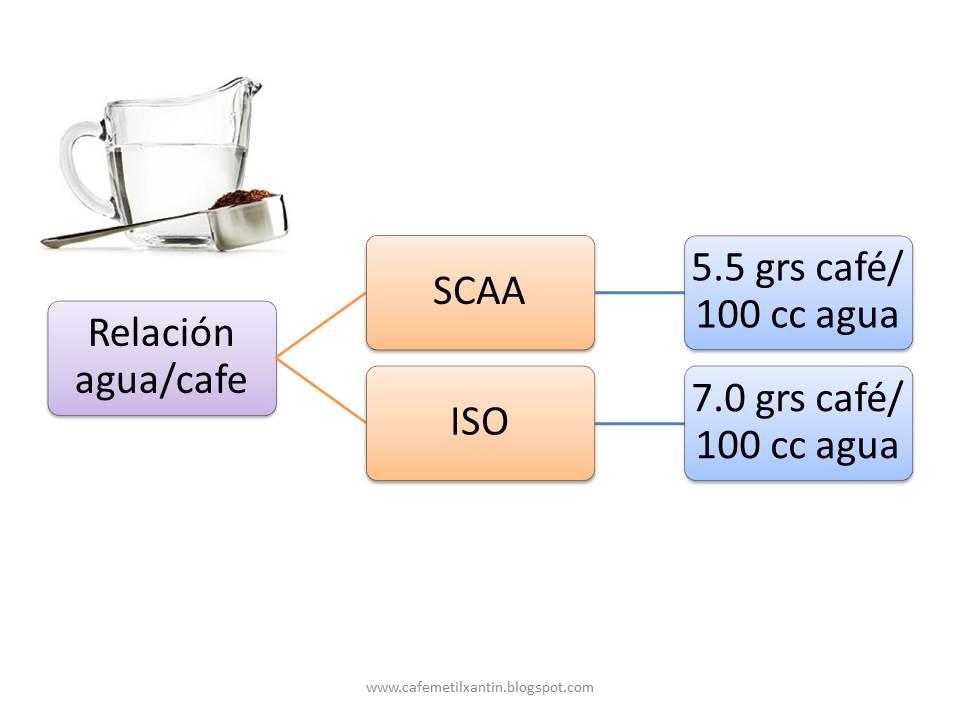 Guía para el uso del formulario SCAA catación de café arábica on emaze