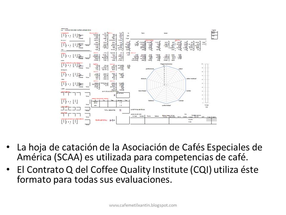 Guía para el uso del formulario SCAA catación de café arábica on emaze